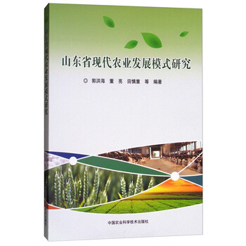 山东省现代农业发展模式研究
