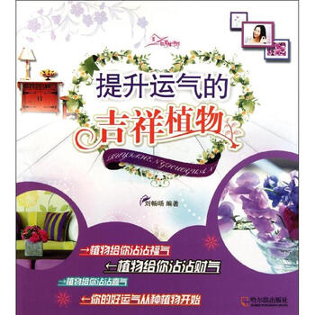 提升运气的吉祥植物