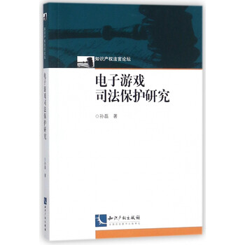 电子游戏司法保护研究/知识产权法官论坛