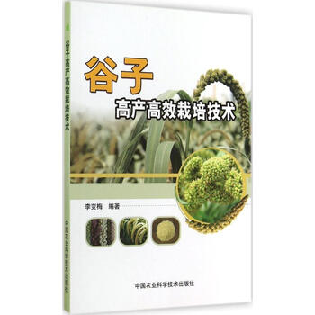 谷子高产高效栽培技术