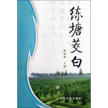 练塘茭白