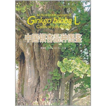 中国银杏品种图鉴