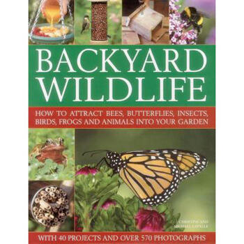 Backyard Wildlife: How to Attract Bees, Butt...