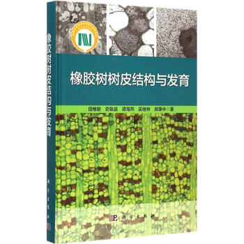 橡胶树树皮结构与发育