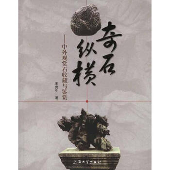 奇石纵横：中外观赏石收藏与鉴赏
