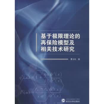 基于极限理论的再保险模型及相关技术研究
