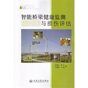 智能桥梁健康监测与损伤评估
