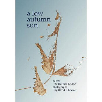 A Low Autumn Sun
