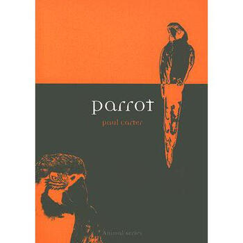 Parrot