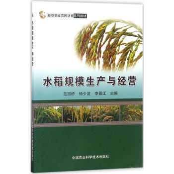 水稻规模生产与经营
