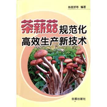 茶薪菇规范化高效生产新技术