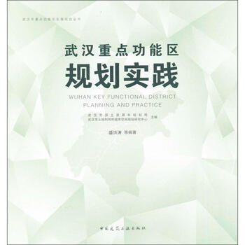 武汉重点功能区规划实践