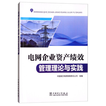 电网企业资产绩效管理理论与实践