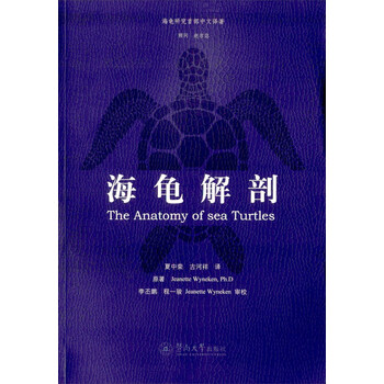 海龟解剖