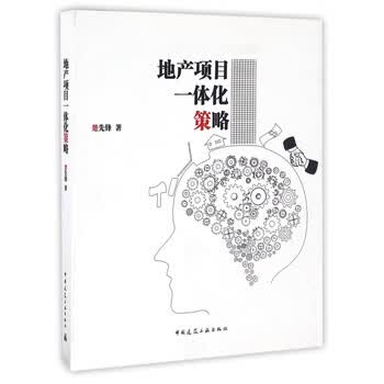 地产项目一体化策略