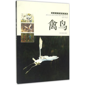 画家实用摄影图集禽鸟