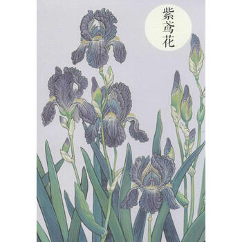 祝大年格调笔记系列紫鸢花