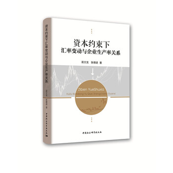 资本约束下汇率变动与企业生产率关系