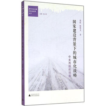 国家建设背景下的城市化战略