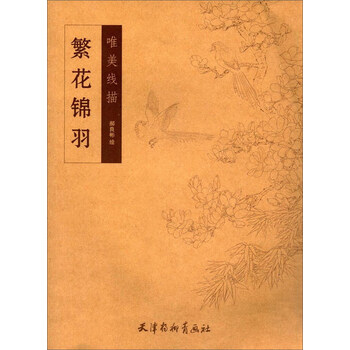 唯美线描 繁花锦羽