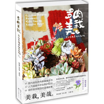 多肉美栽