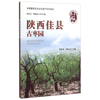陕西佳县古枣园
