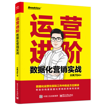 运营进阶：数据化营销实战(博文视点出品)