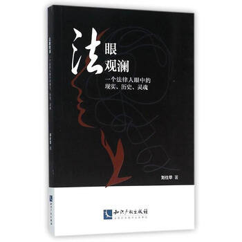 法眼观澜/一个法律人眼中的现实,历史,灵魂