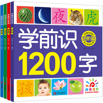 学前识1200字全套4册幼儿园早教大班中班识字卡 幼儿认字卡3-4-5-6岁学前班中班升衔接幼小衔接