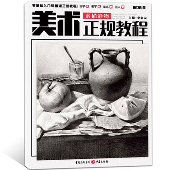 正版 敲门砖美术正规教程 素描静物 零基础入门到精通 儿童成人美术临摹素描基础教材书 局
