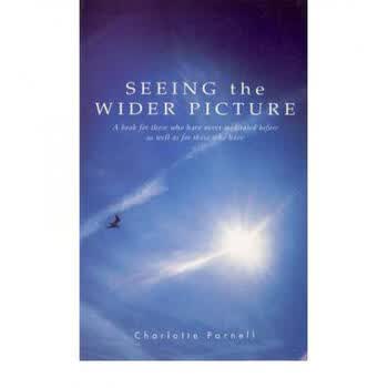 Seeing The Wider Picture