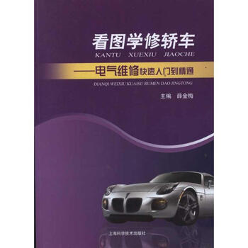 看图学修轿车:电气维修快速入门到精通