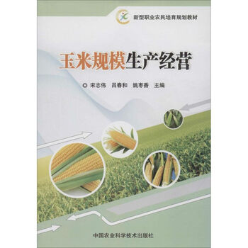 玉米规模生产经营