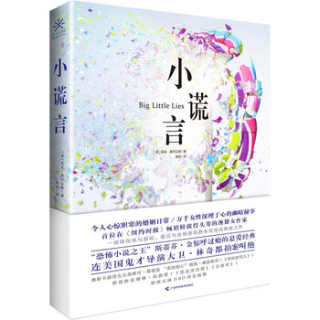小谎言 小说 书籍