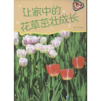 让家中的花草茁壮成长