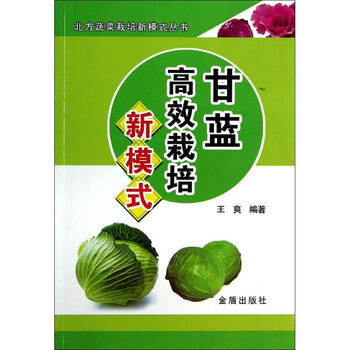 甘蓝高效栽培新模式