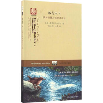 波行天下