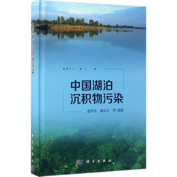 中国湖泊沉积物污染
