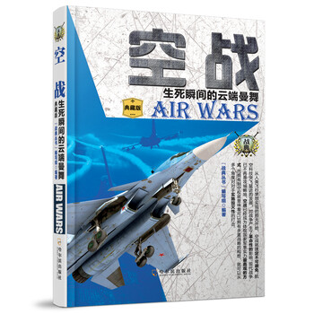 空战：生死瞬间的云端曼舞