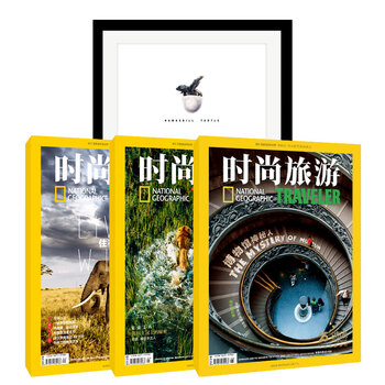 保护海龟 相框+时尚旅游（环保、文化、动物主题）（套装相框1+杂志3册））