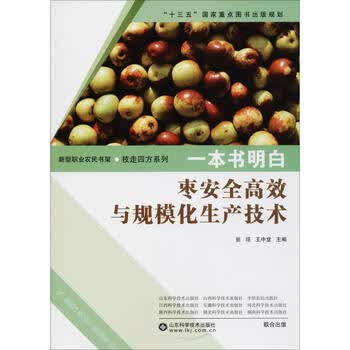 一本书明白枣安全高效与规模化生产技术