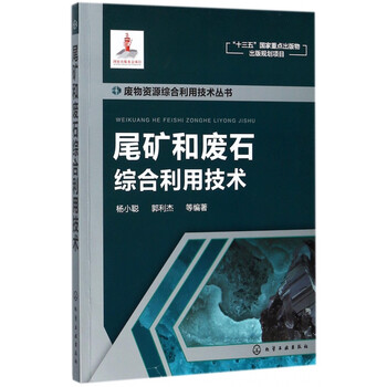 尾矿和废石综合利用技术/废物资源综合利用技术丛书