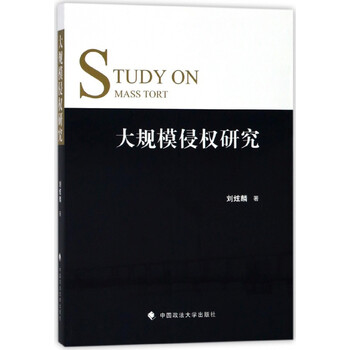 大规模侵权研究