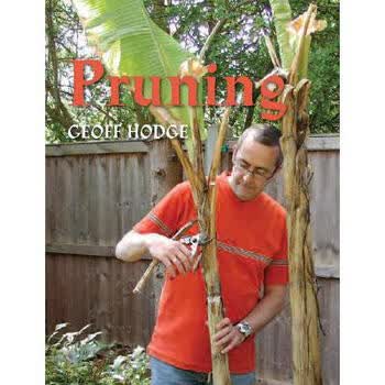 Pruning