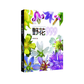野花999/自然观察丛书