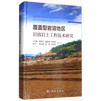 覆盖型岩溶地区岩溶岩土工程技术研究