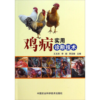 鸡病实用诊断技术