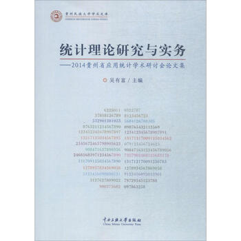 统计理论研究与实务