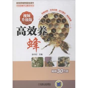 高效养蜂(视频升级版)