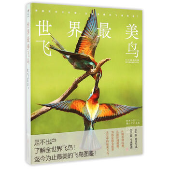 世界*美飞鸟